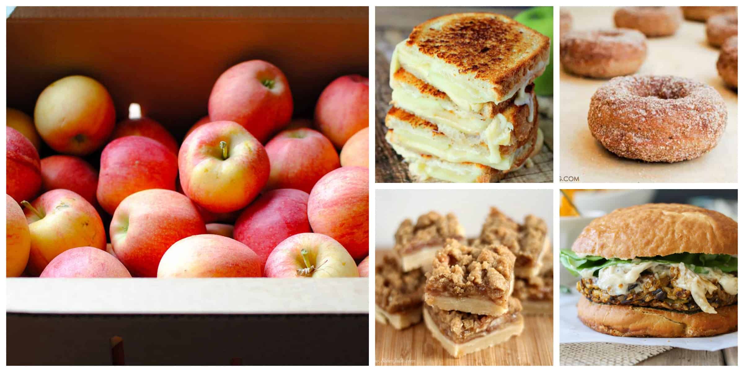 20 Apple Recipes to Try this Fall - The Organized Mom
