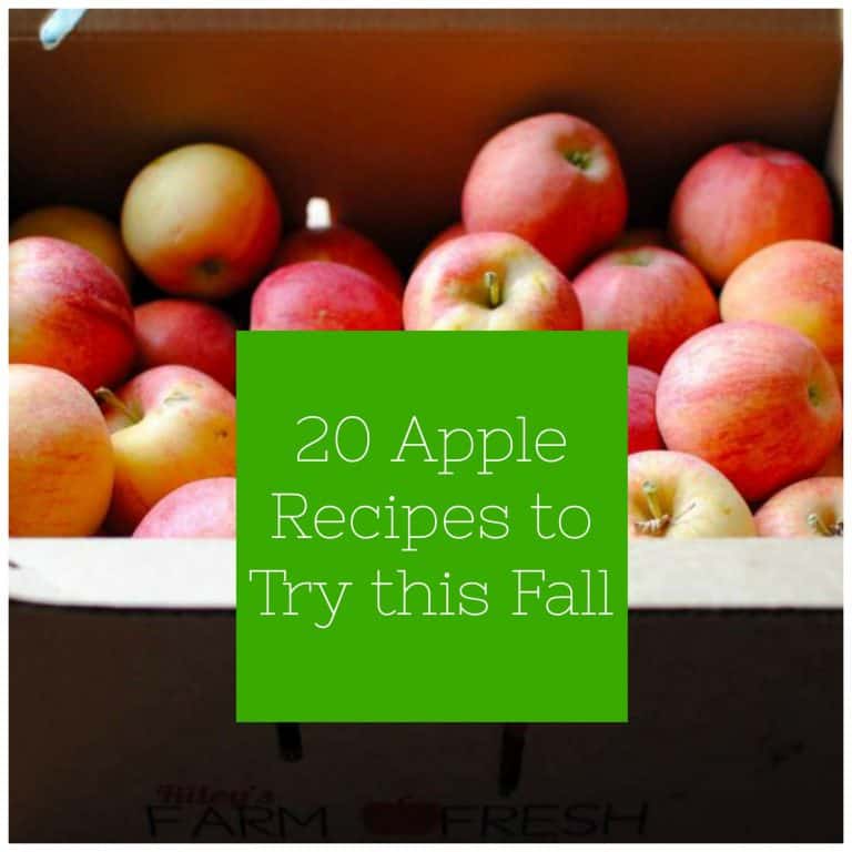 20 Apple Recipes to Try this Fall – The Organized Mom