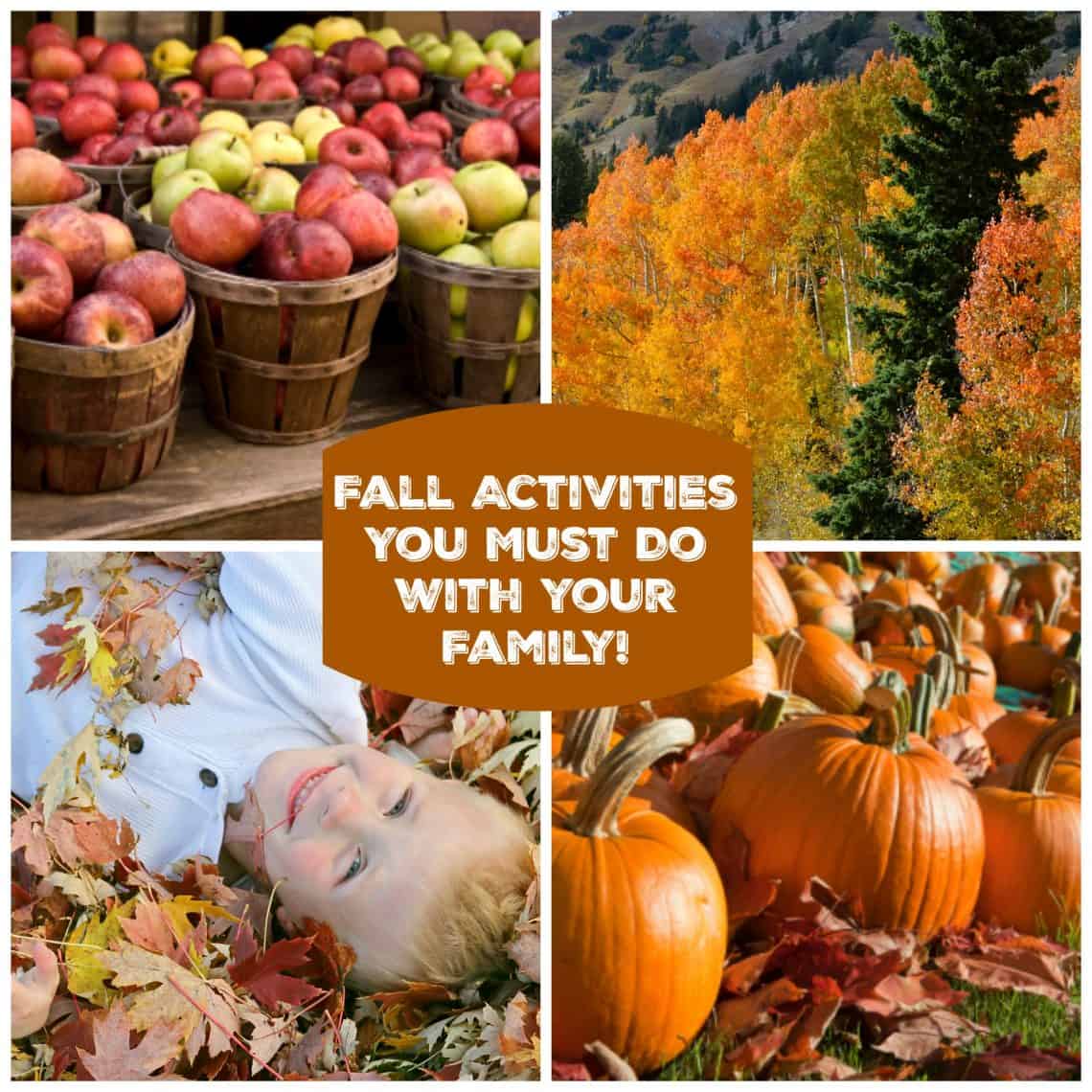 Fall Activities For The Whole Family – The Organized Mom
