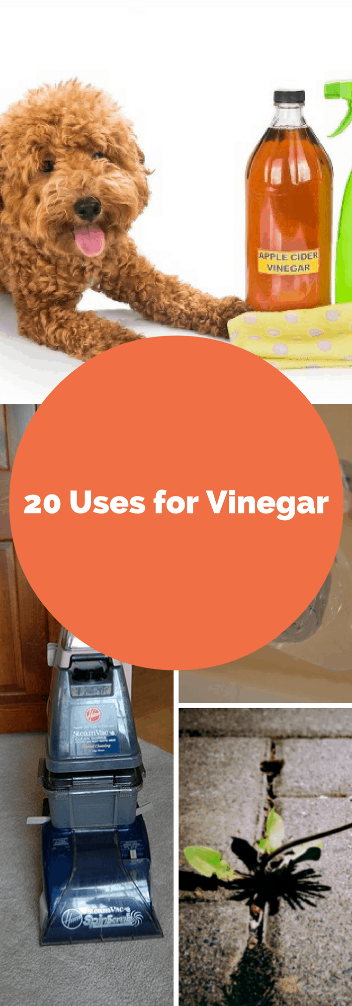 20 Uses for Vinegar – The Organized Mom