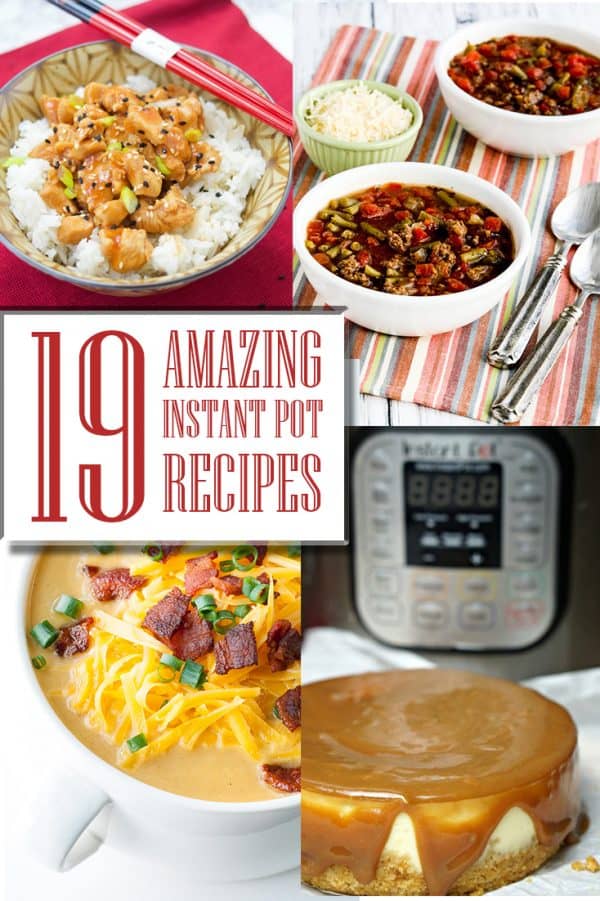 19 Incredible Instant Pot Recipes – The Organized Mom
