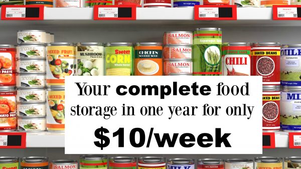 52 Week Guide to Building Your Food Storage – The Organized Mom