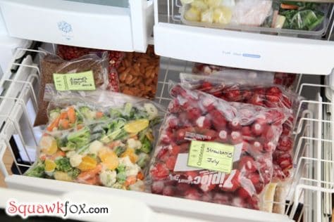 Use Chest Freezer Dividers (and Never Waste Food Again!) – The ...