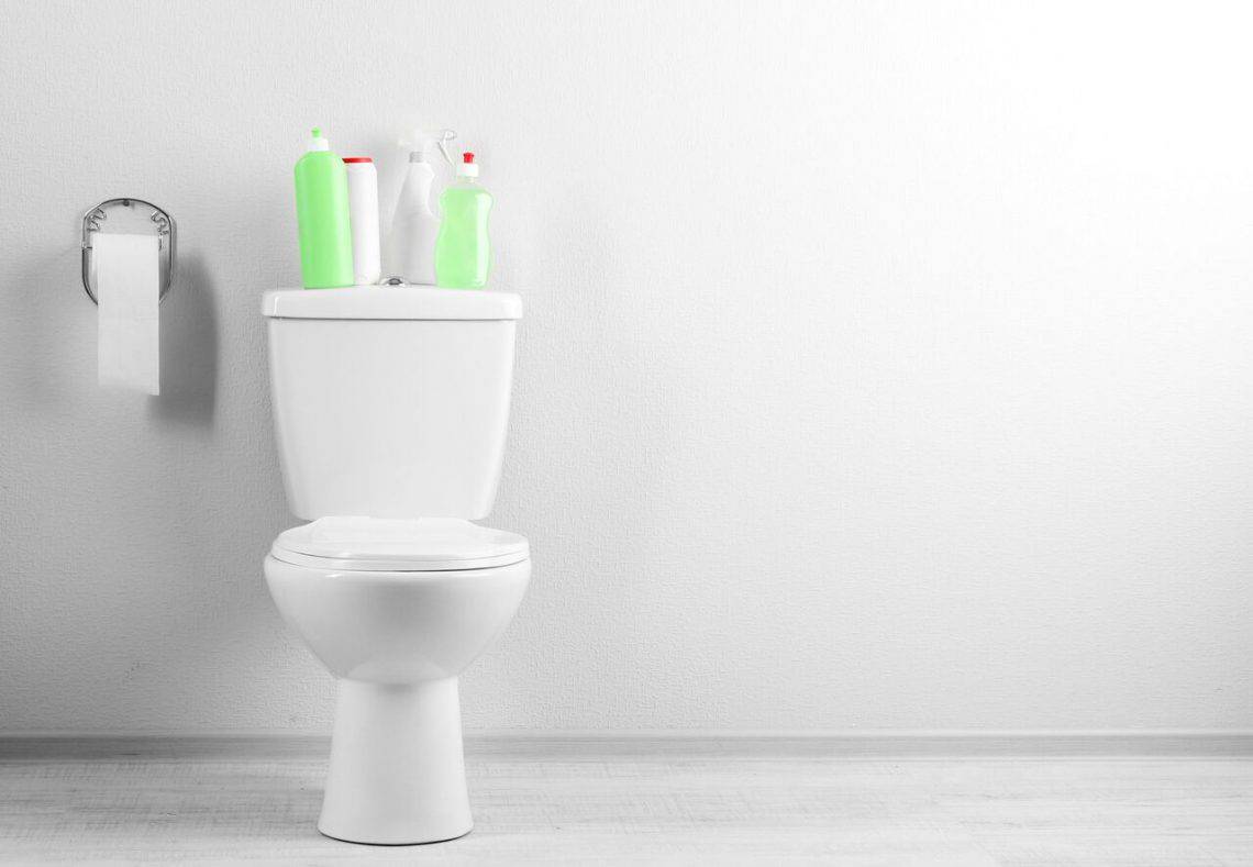 How to Clean a Toilet Like a Pro – The Organized Mom