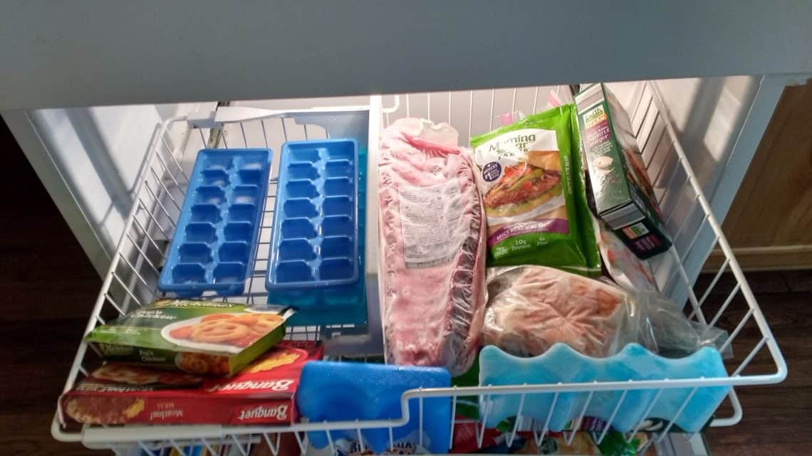Freezer Cleanout! How to Organize Your Freezer! – The Organized Mom