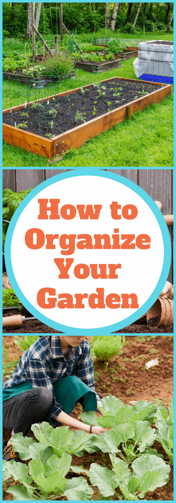 How to Organize Your Backyard Vegetable Garden – The Organized Mom