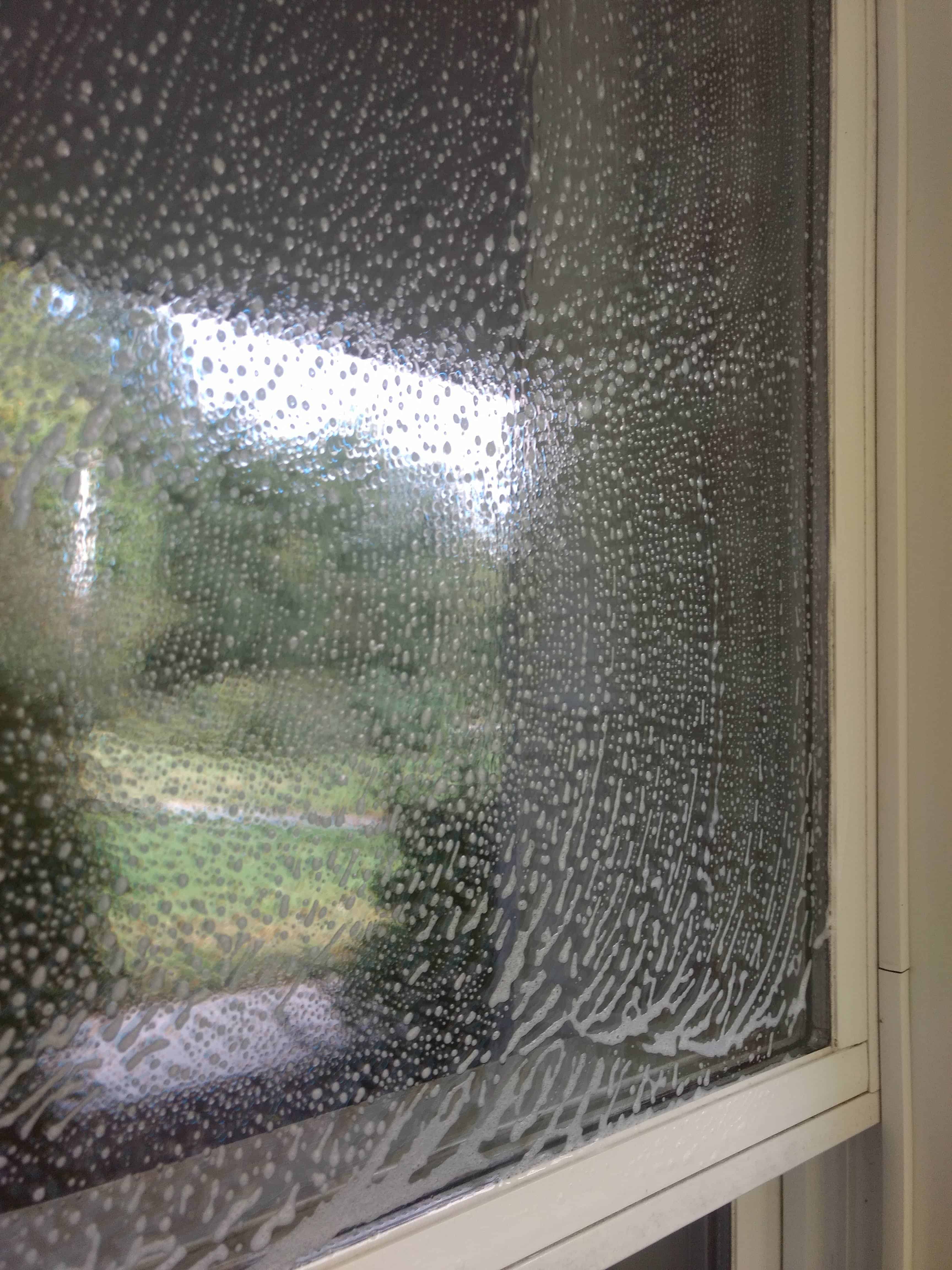 Tips to Clean Exterior Windows Yourself! – The Organized Mom
