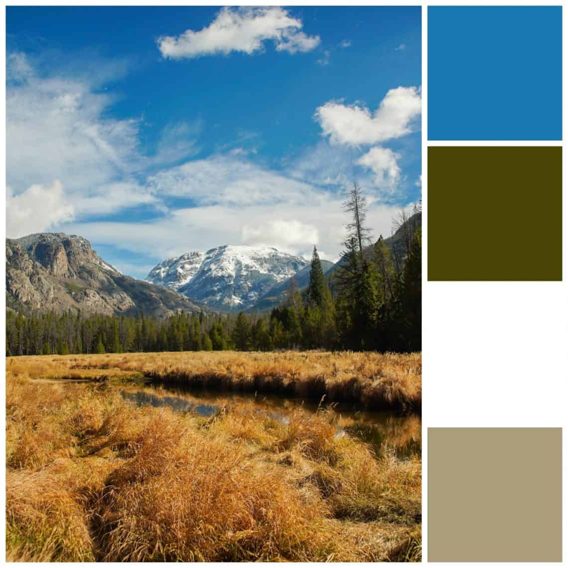 Color Combinations for Fall Family Pictures – The Organized Mom