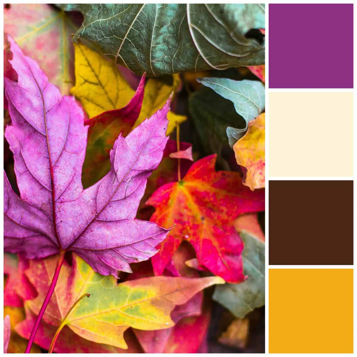 Color Combinations for Fall Family Pictures – The Organized Mom