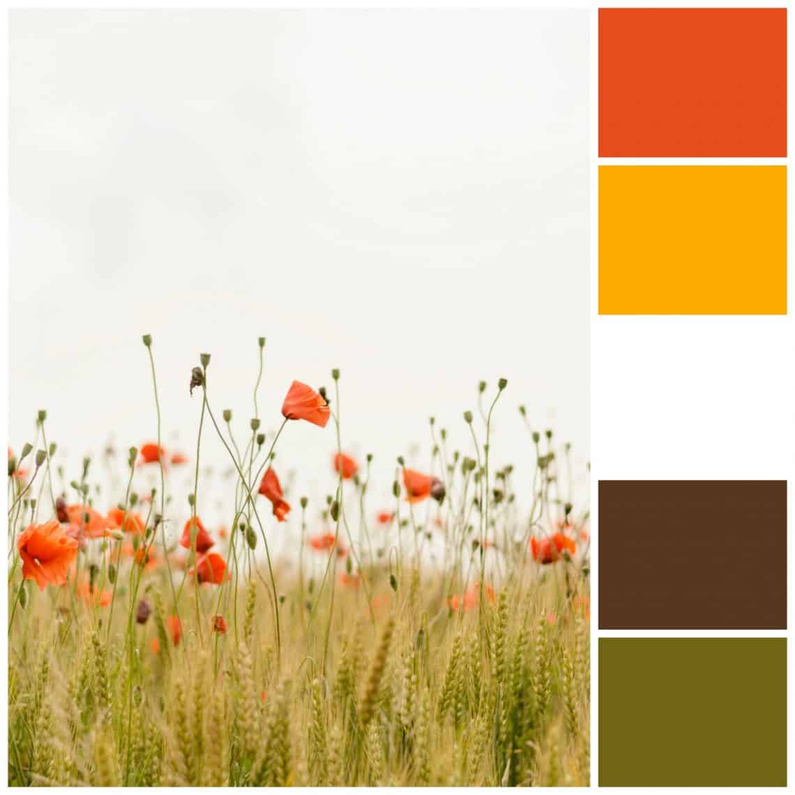 Color Combinations for Fall Family Pictures – The Organized Mom