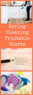 Spring Cleaning Printable Charts – The Organized Mom