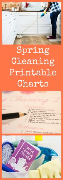 Spring Cleaning Printable Charts – The Organized Mom