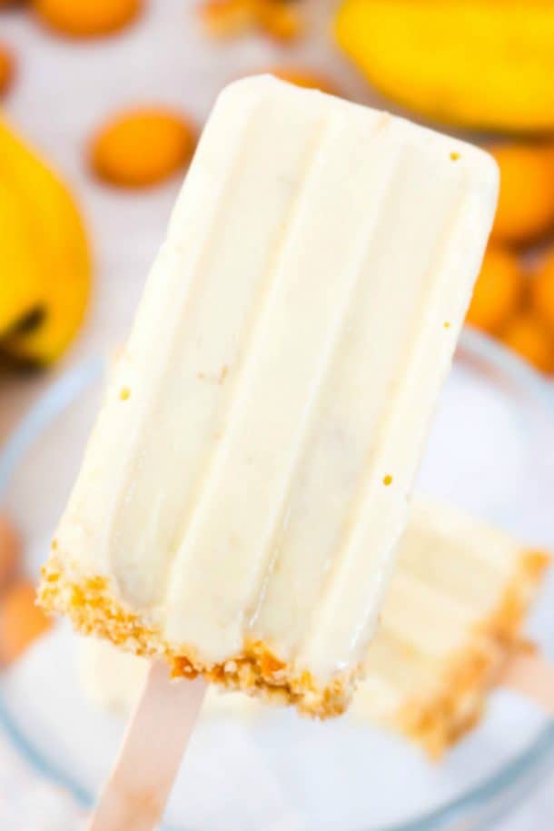 25 Homemade Popsicle Recipes – The Organized Mom