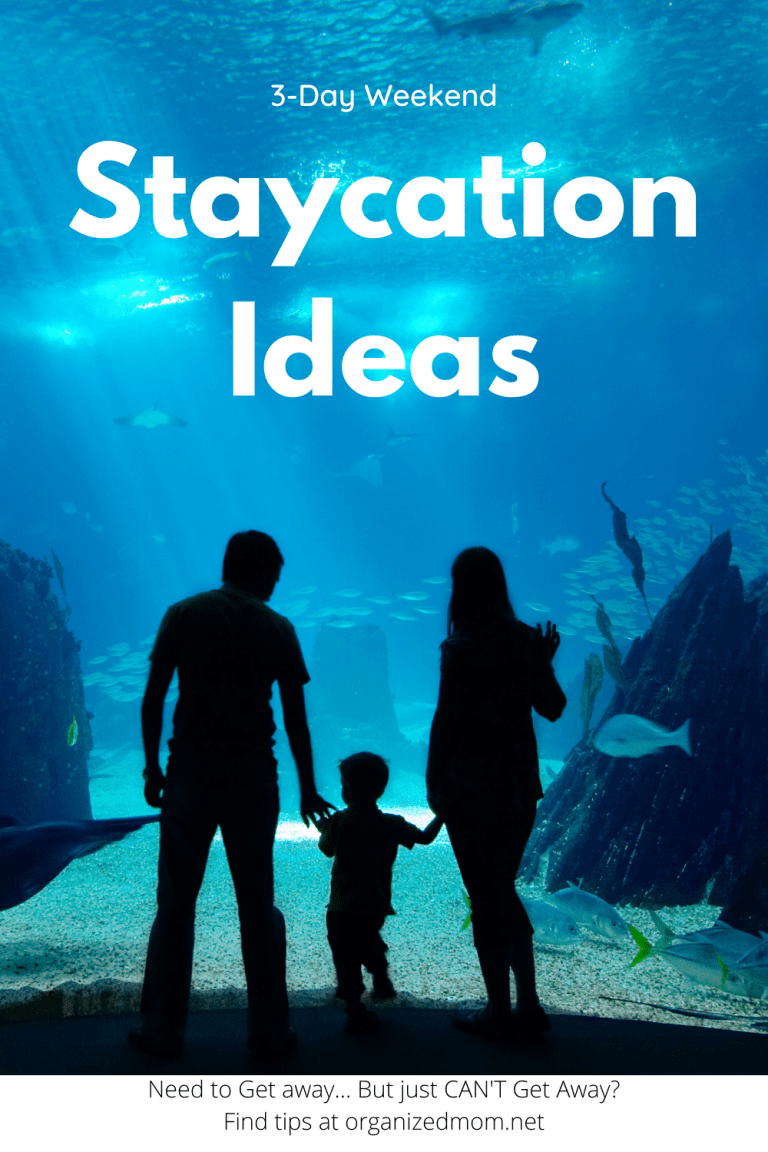 Staycation Ideas for 3-day Weekends - The Organized Mom