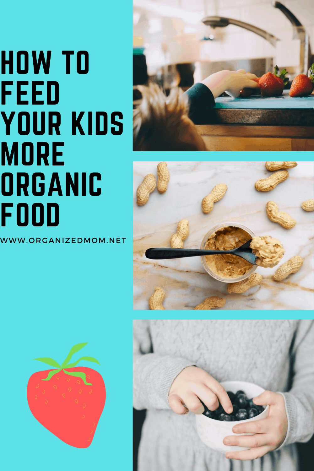 How to feed your kids more Organic food - The Organized Mom