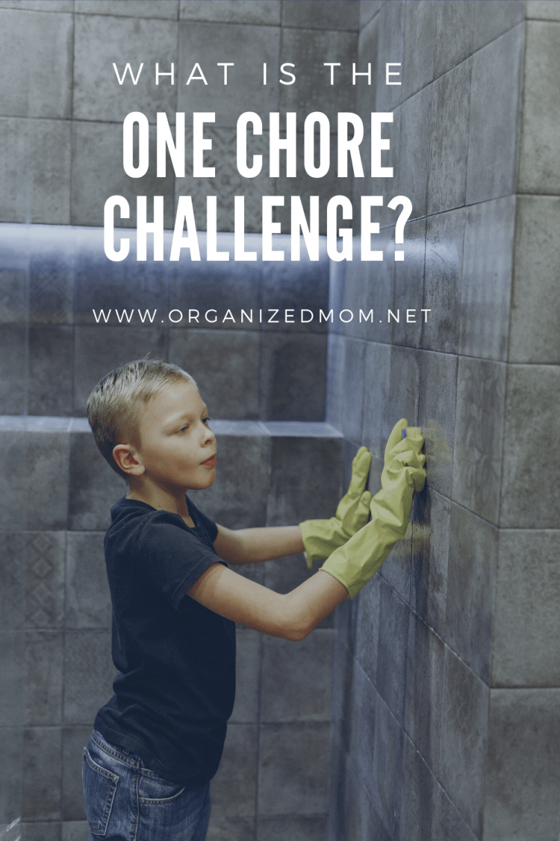 One Chore Challenge – The Organized Mom