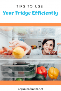 Tips To Use Your Fridge Efficiently – The Organized Mom