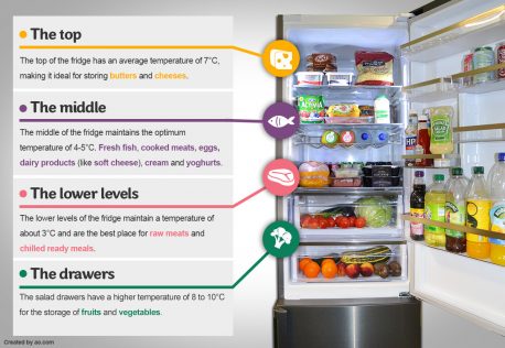 Tips To Use Your Fridge Efficiently – The Organized Mom