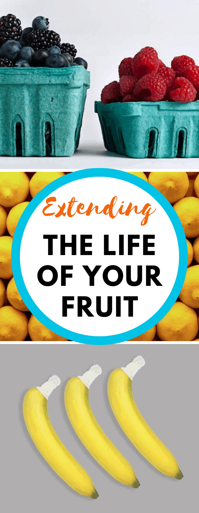 Extending The Life Of Your Fruit – The Organized Mom
