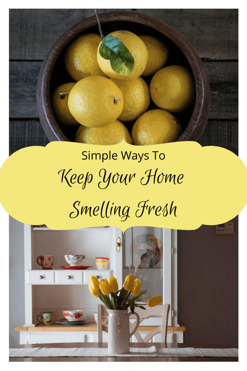 How To Make Your Home Smell Fresh – The Organized Mom