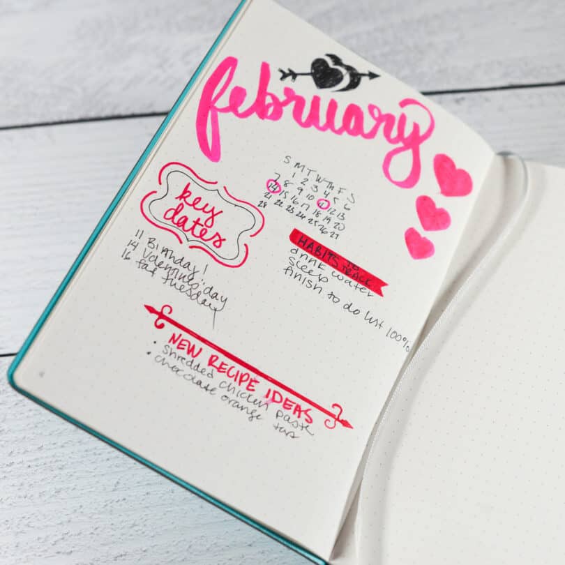 How to Pick the Best Bullet Journal Notebook – The Organized Mom