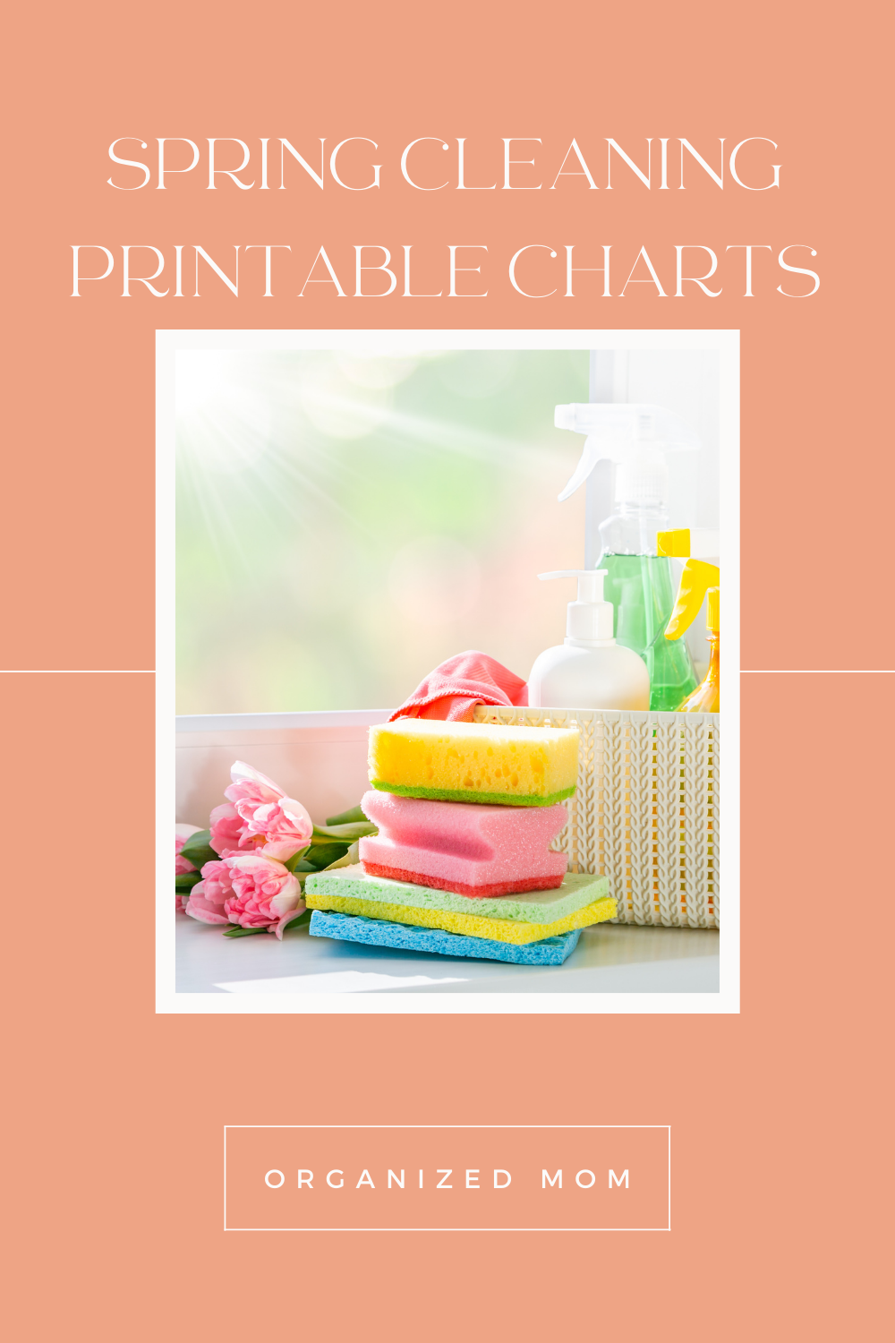 Spring Cleaning Printable Charts – The Organized Mom