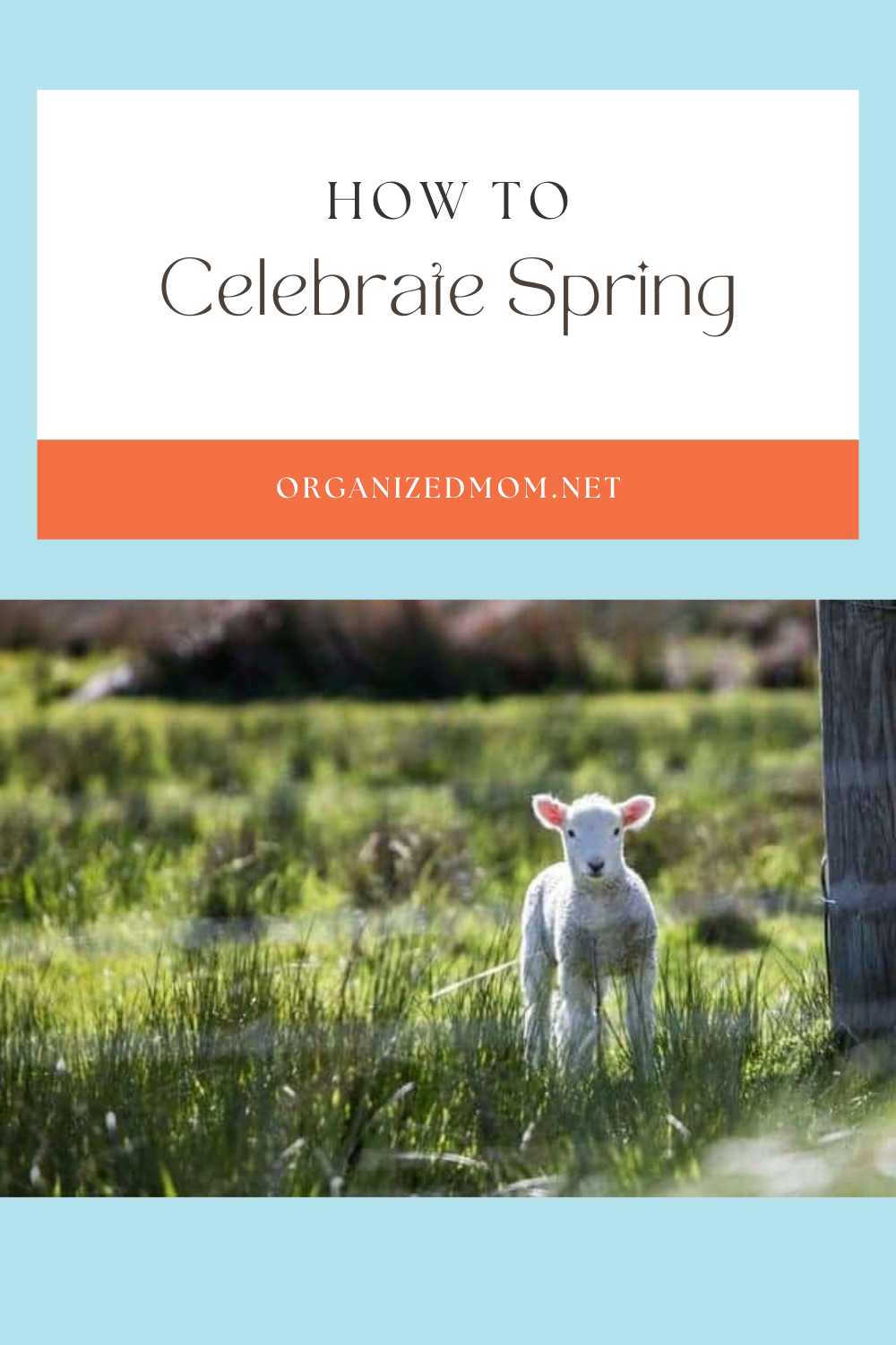 How to Celebrate Spring: 17 Renewing Things to do in Spring – The ...