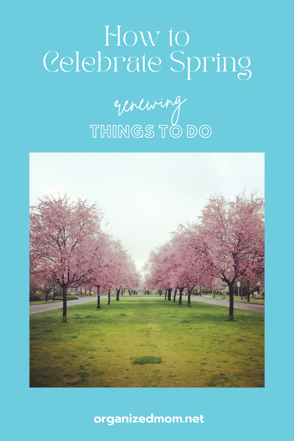 How to Celebrate Spring: 17 Renewing Things to do in Spring – The ...