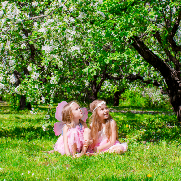 Spring Birthday Party Themes for Kids – The Organized Mom