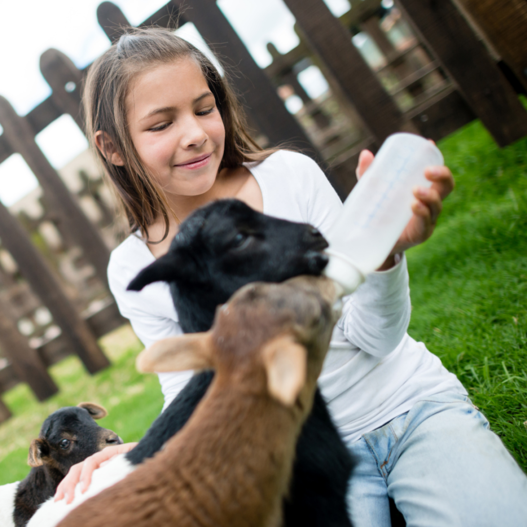 Spring Birthday Party Themes for Kids – The Organized Mom