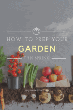 How to Prep Your Garden This Spring – The Organized Mom