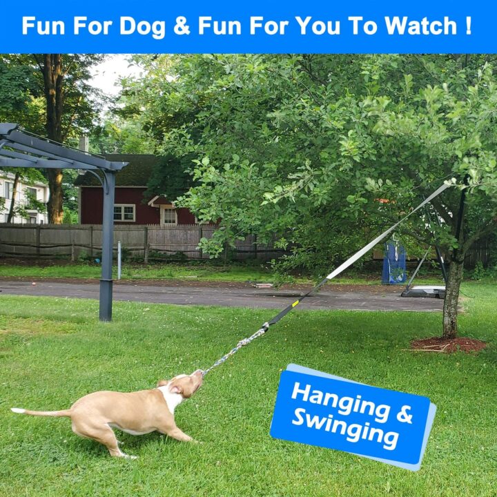 Christmas Gifts for Your Furry Friend – The Organized Mom