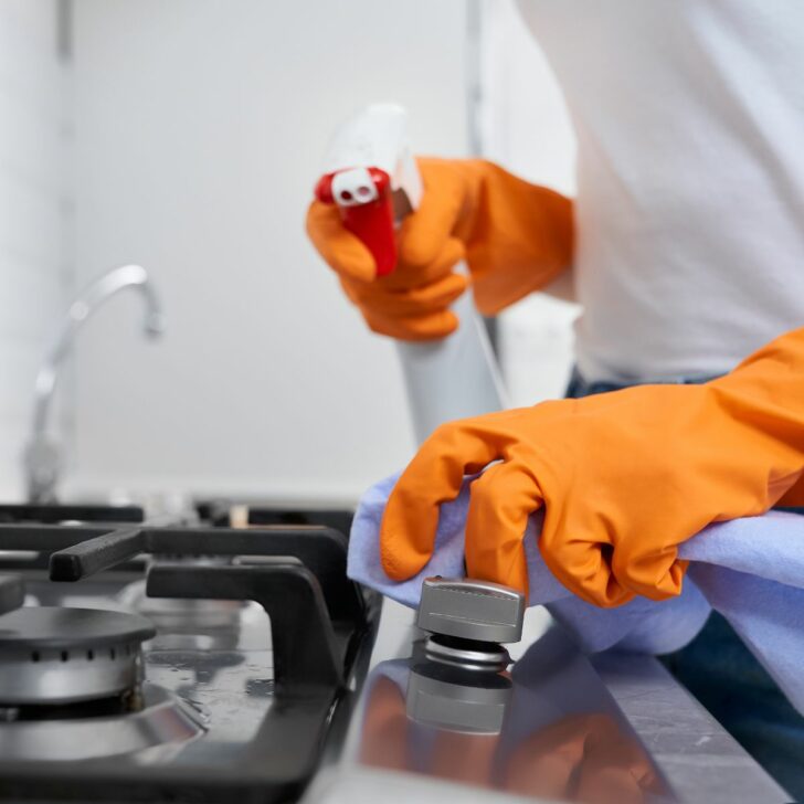 Homemade Degreaser For Oven - The Organized Mom