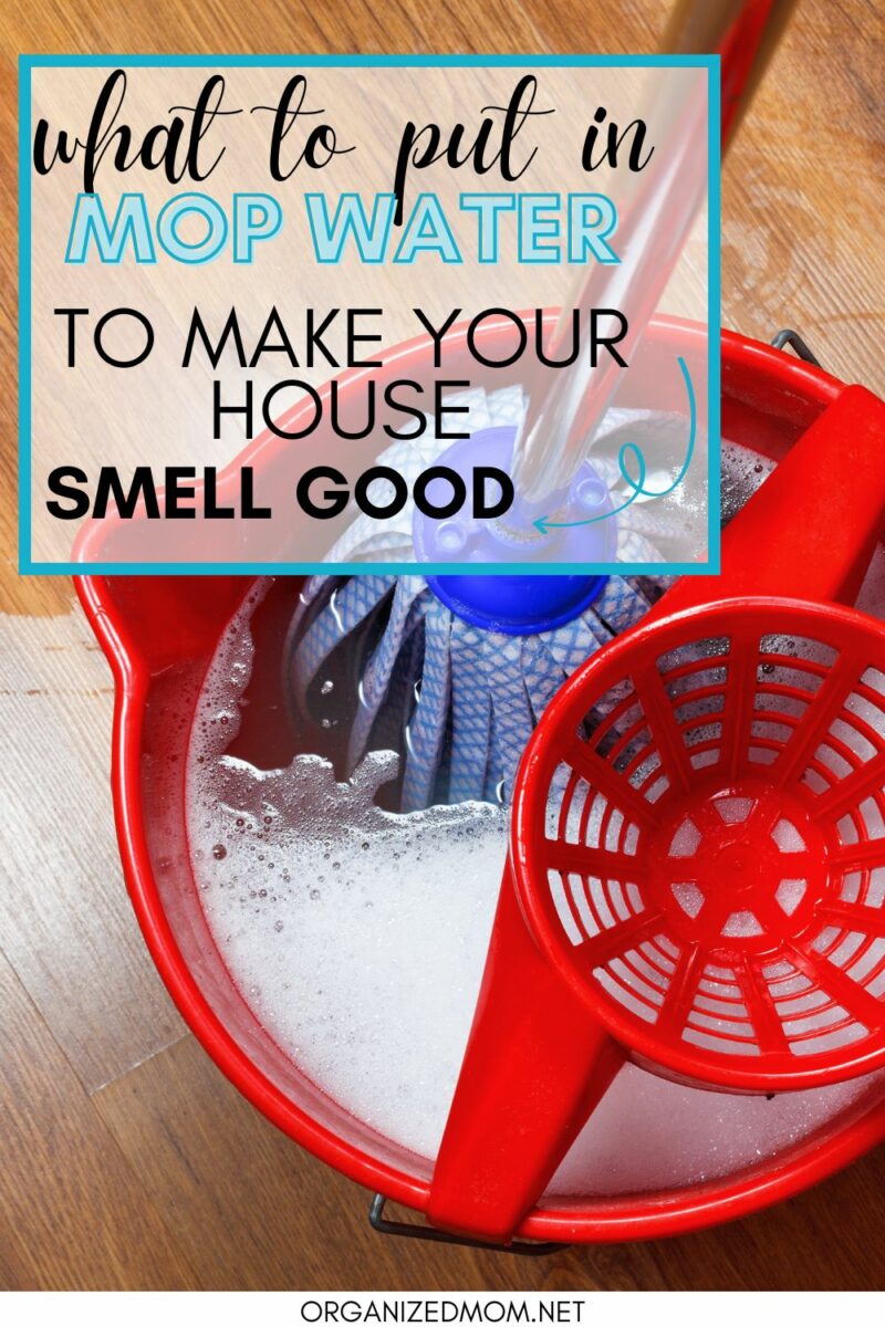 What Can I Put In My Mop Water To Make My House Smell Good? - The ...