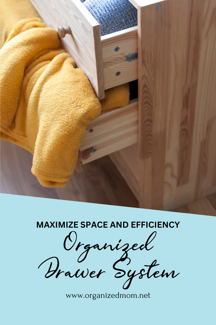 Maximizing Space and Efficiency with a Well-Organized Drawer System ...