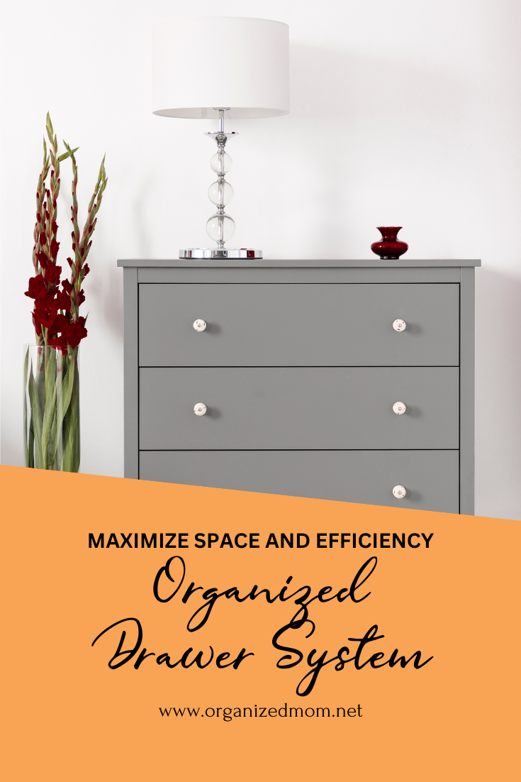 Maximizing Space and Efficiency with a Well-Organized Drawer System ...