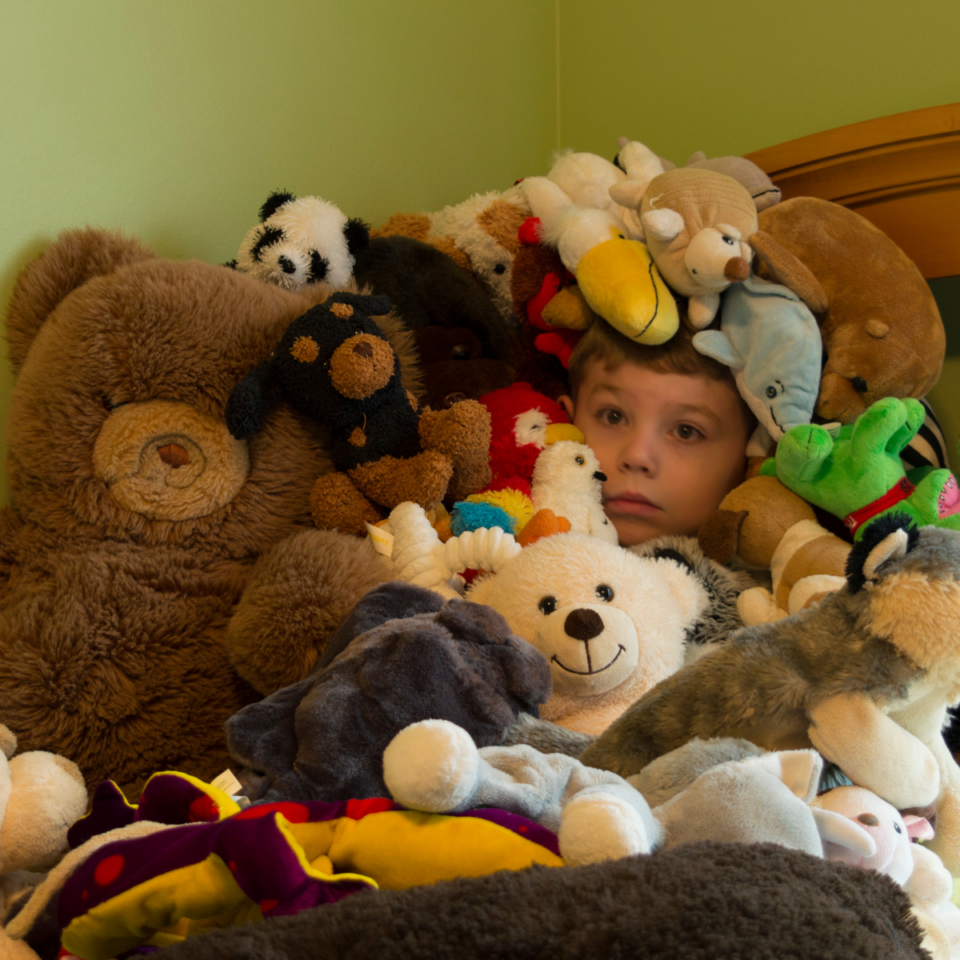 Tips For Organizing Your Child’s Stuffed Animal Collection – The ...