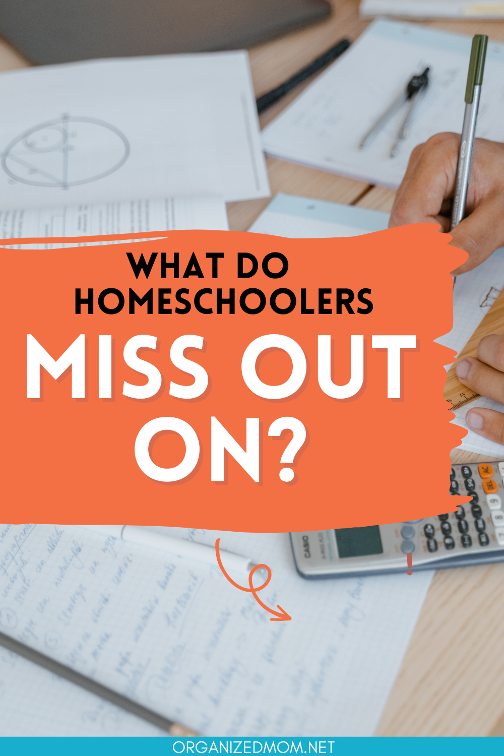 What Do Homeschoolers Miss Out On? – The Organized Mom