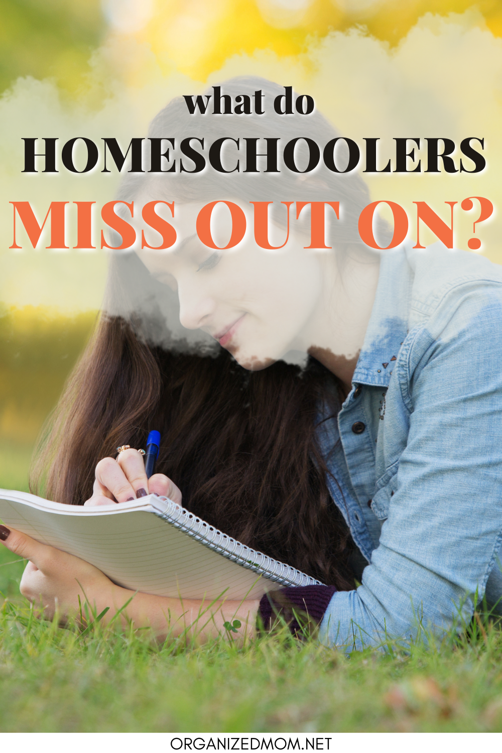 What Do Homeschoolers Miss Out On? – The Organized Mom